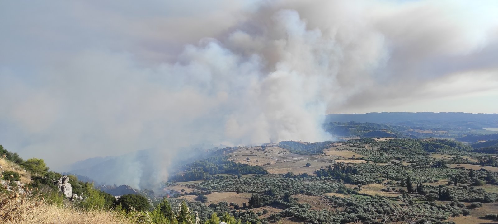 Πόρτες Δυτικής Αχαΐας: Στο πύρινο μέτωπο και οι εθελοντές πυροσβέστες ...