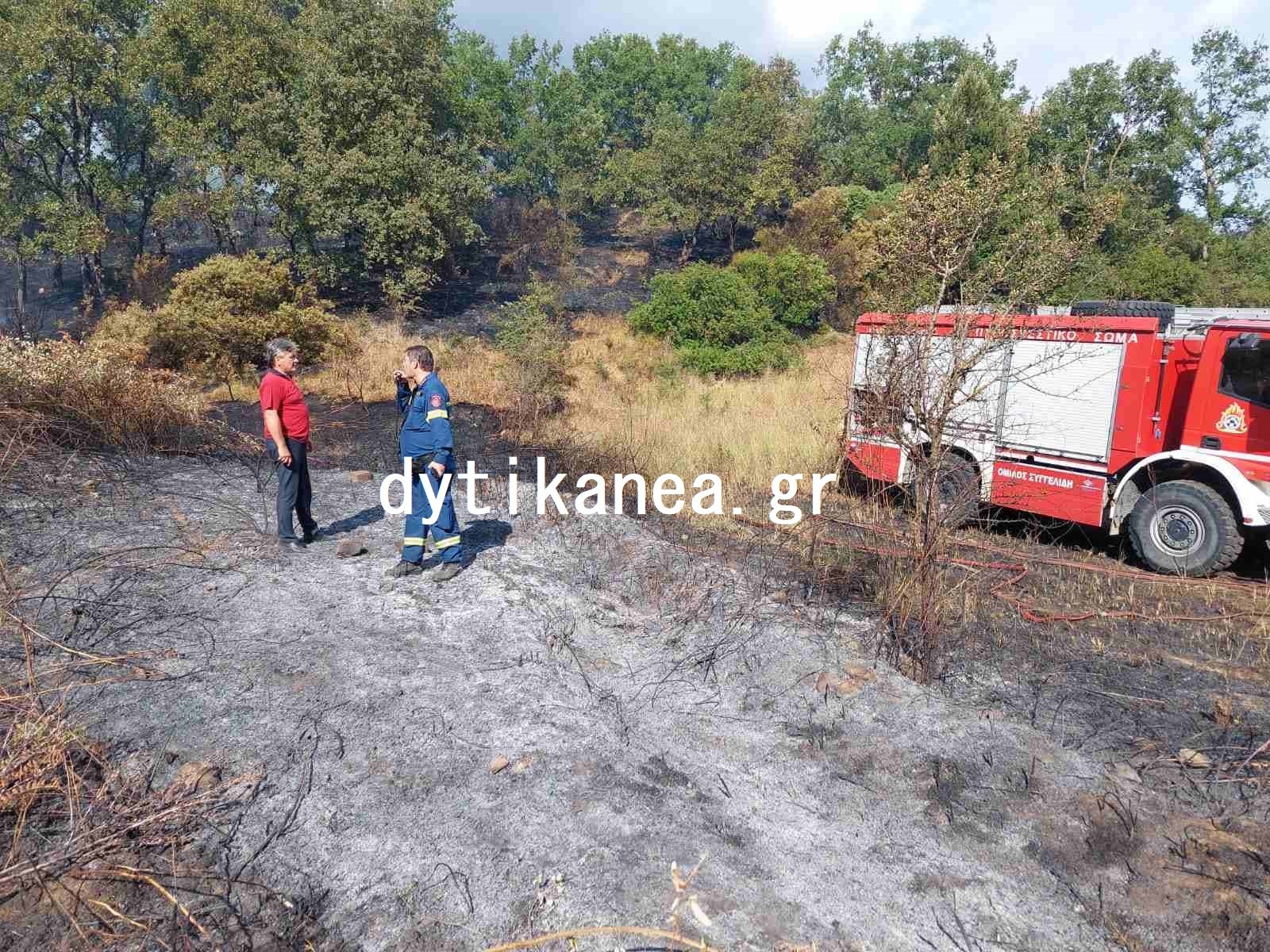 Υπό πλήρη έλεγχο η φωτιά στις Βελιτσές Αχαΐας - ΒΙΝΤΕΟ και ΦΩΤΟ ...