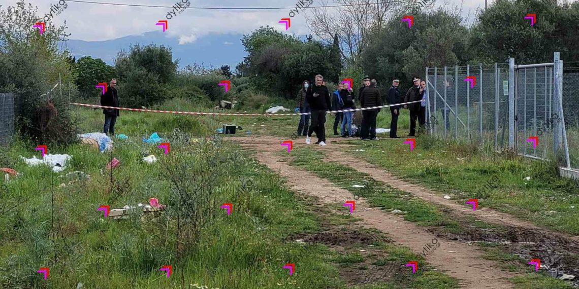 Εγκλημα στην Κάτω Αχαΐα - ΕΚΤΑΚΤΟ : Συνελήφθη ο δράστης - Πάνω από 30 ...